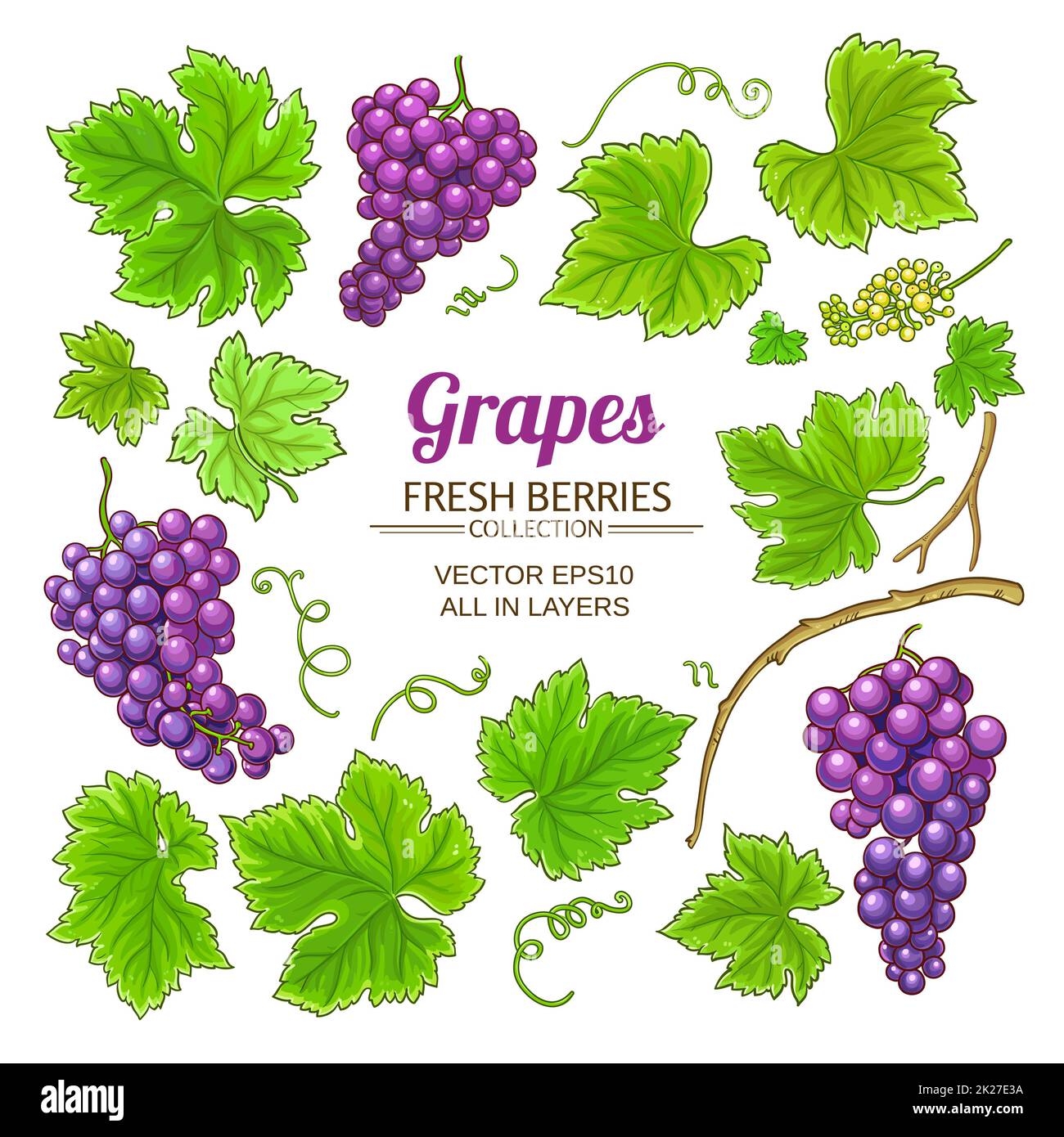 grapes elements set Stock Photo - Alamy