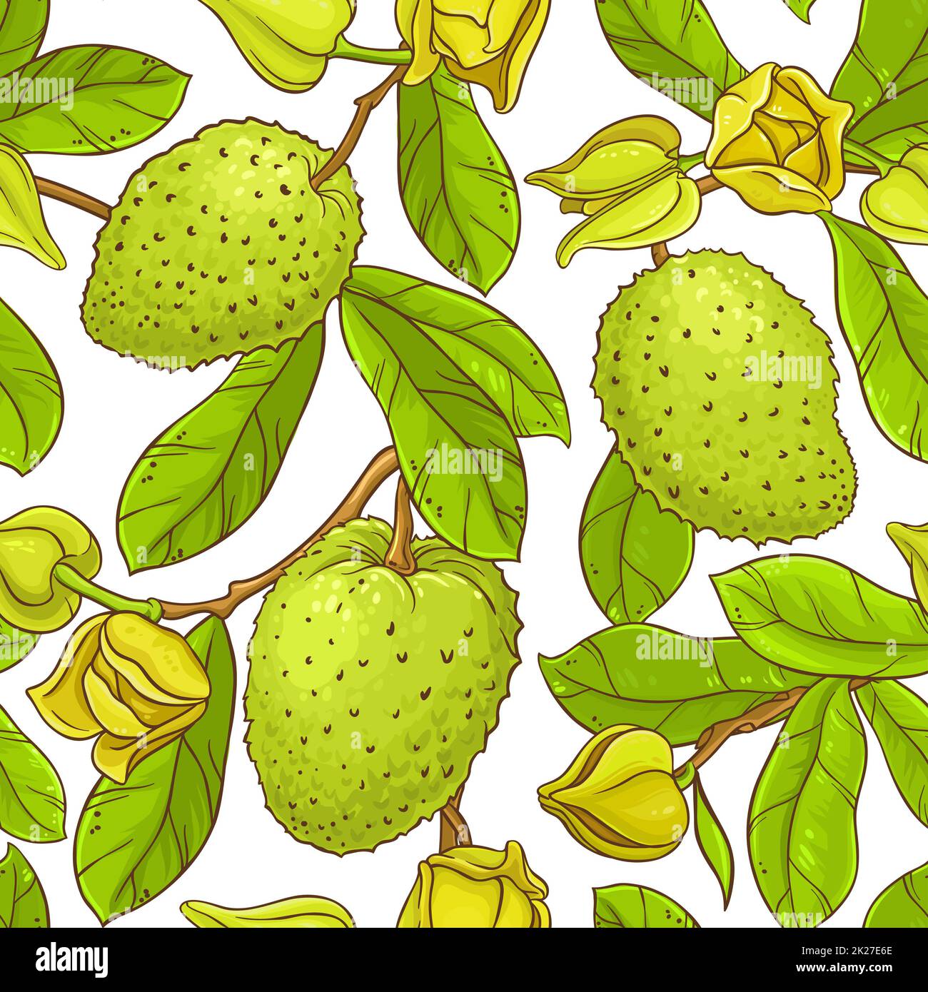 soursop vector pattern Stock Photo - Alamy