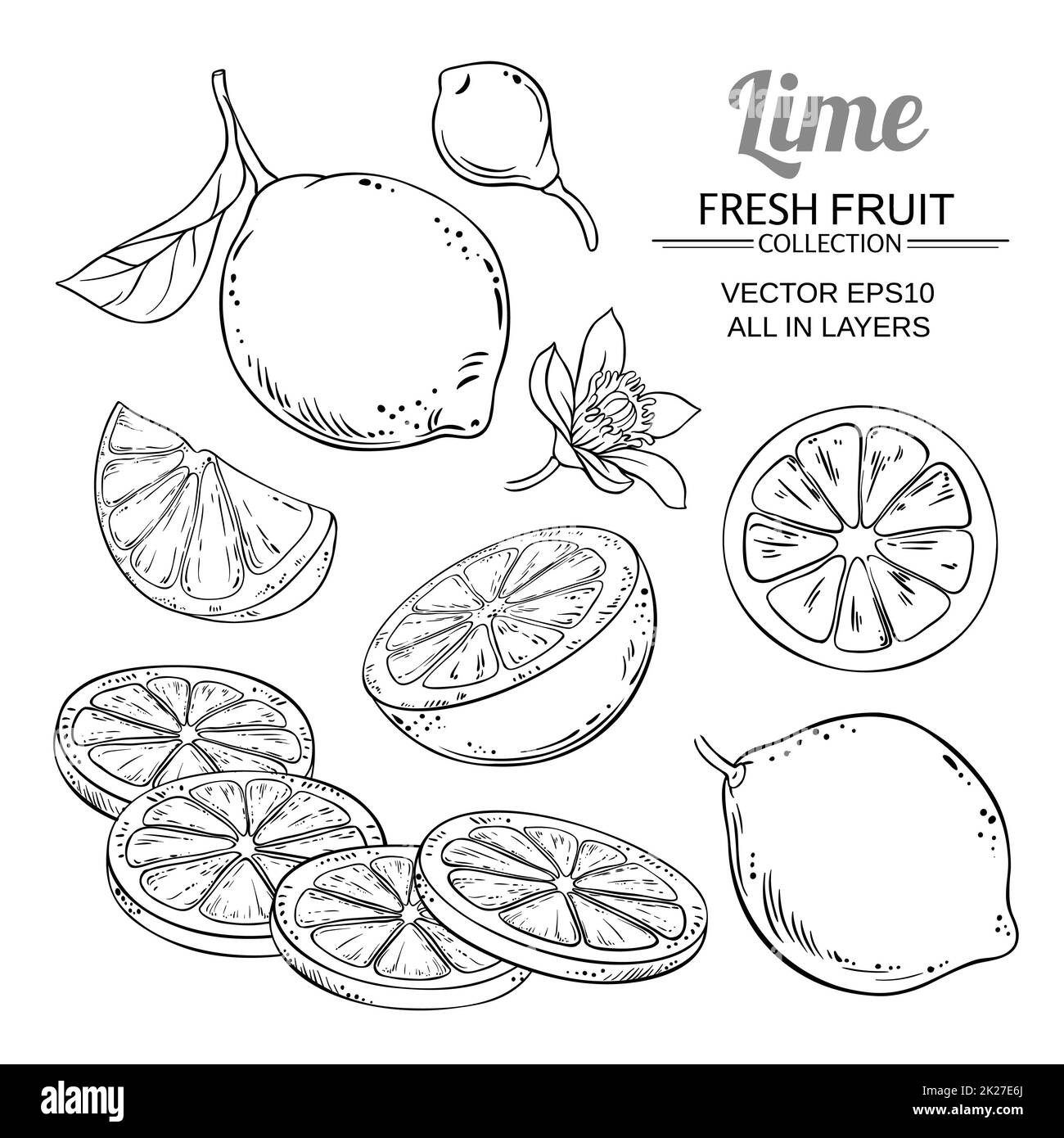 Lime Sketch