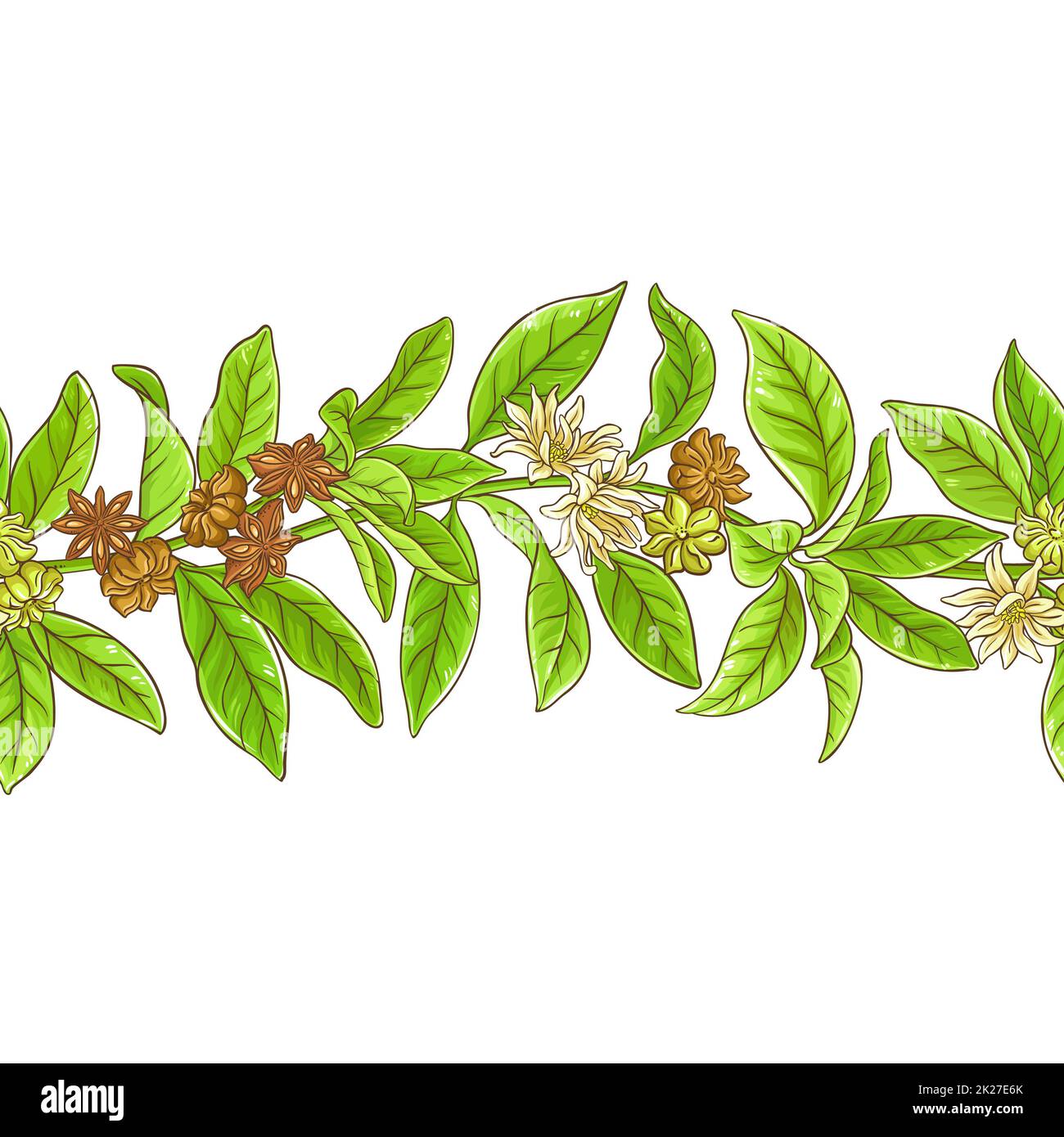 White line star anise hi-res stock photography and images - Alamy