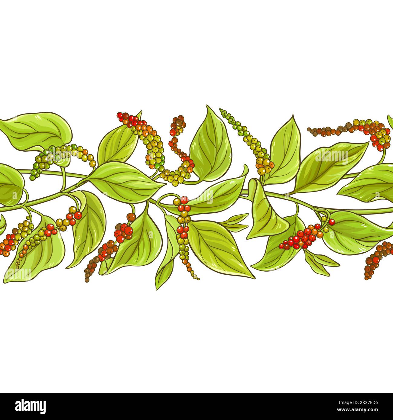 black ground pepper Stock Photo - Alamy