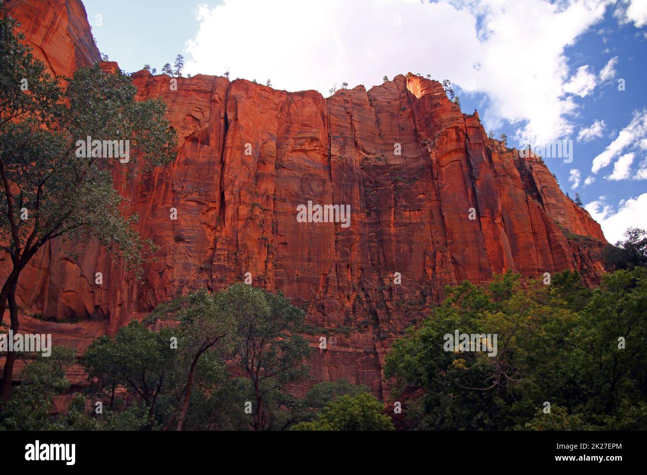 The intense red cliffs of the Zion National Park Canyon Stock Photo - Alamy