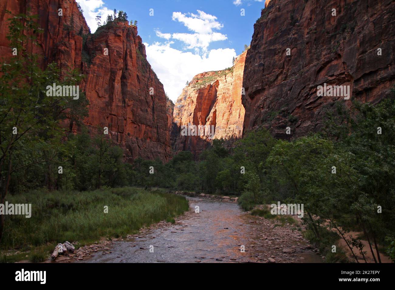 The narrow red canyon with the reflecting clear water river of Zion ...