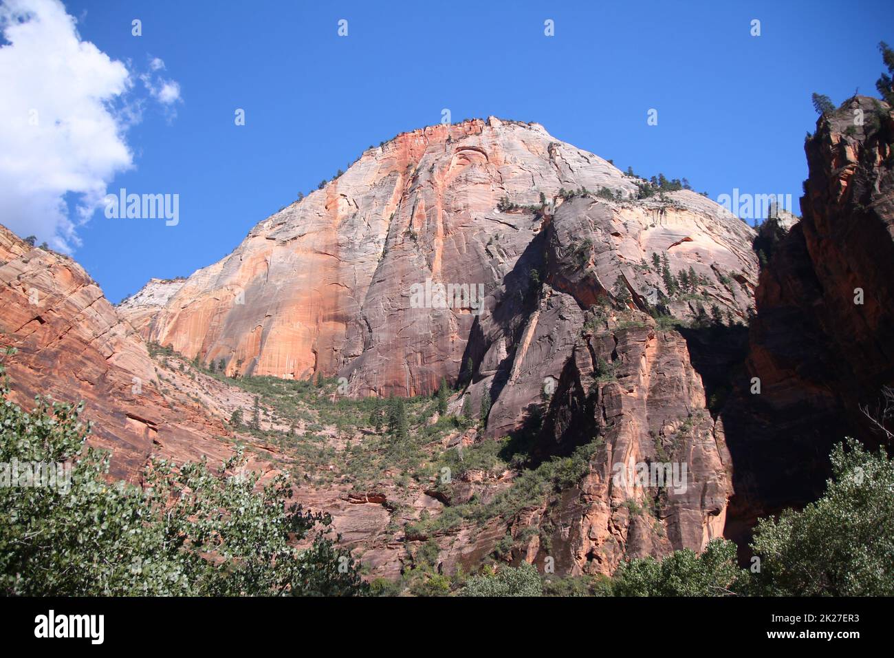 The big coloured mountain with the shades of the sun in Zion National ...