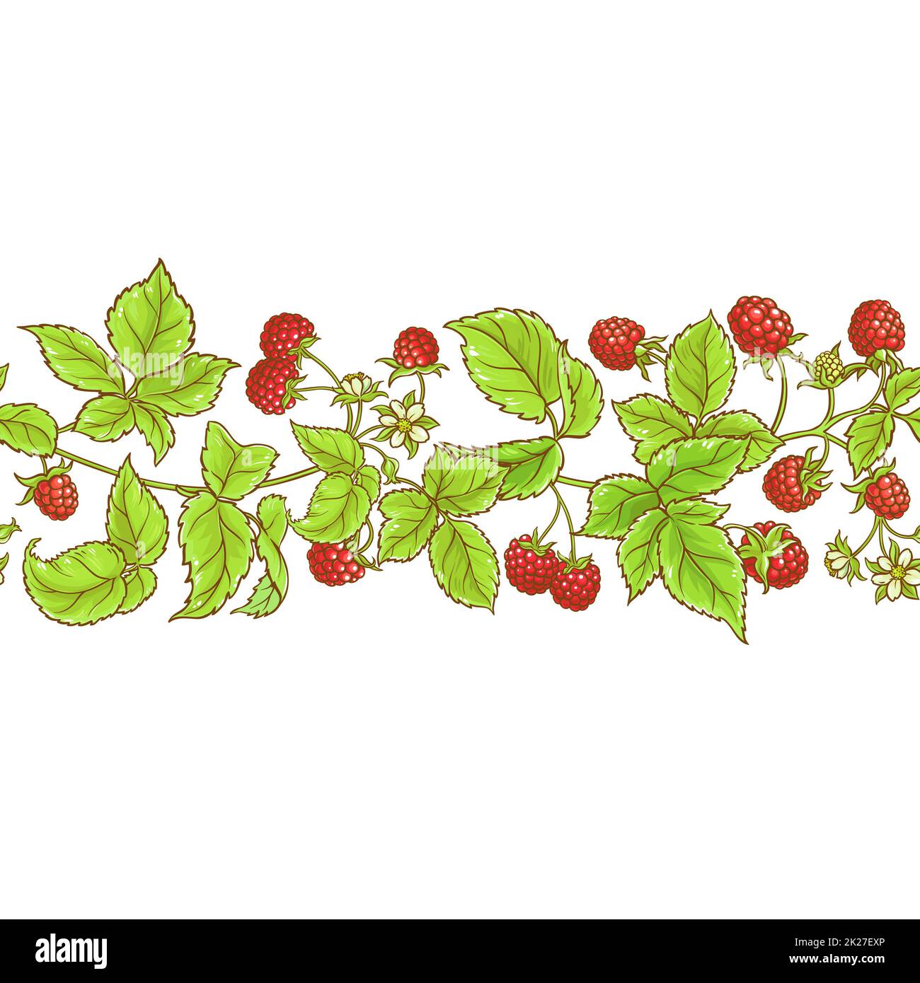 aspberry branch vector pattern Stock Photo - Alamy