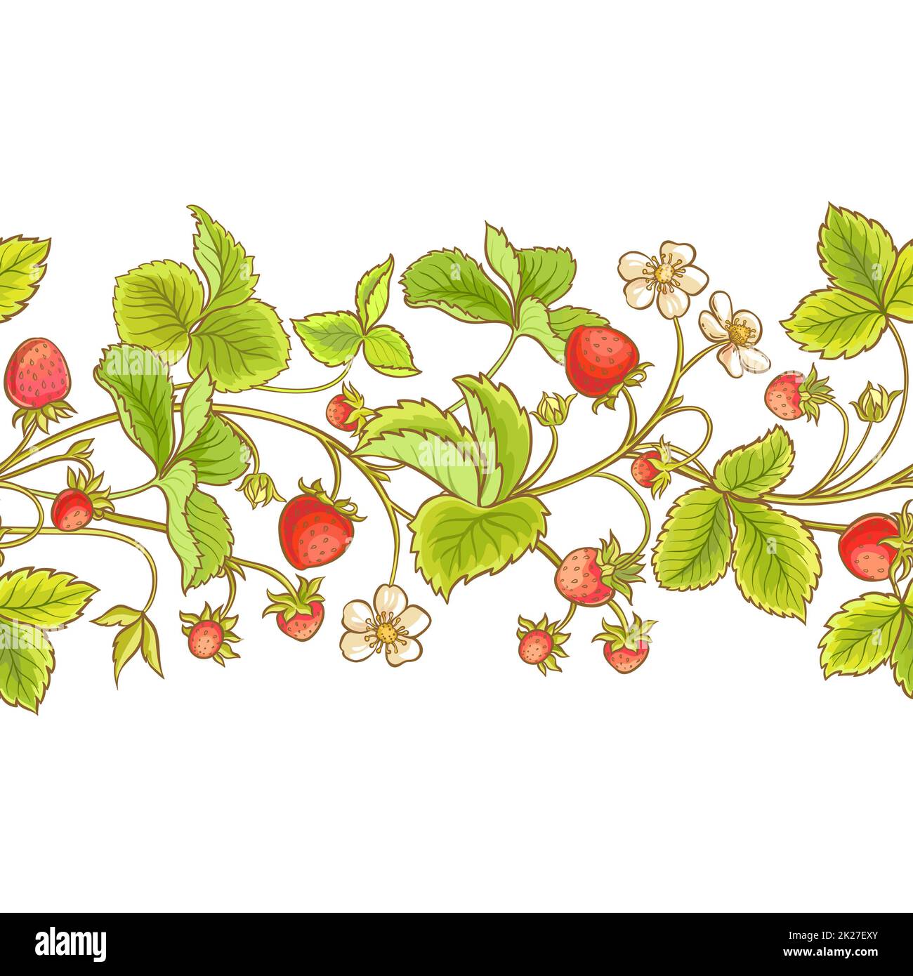 strawberry plant vector pattern Stock Photo - Alamy