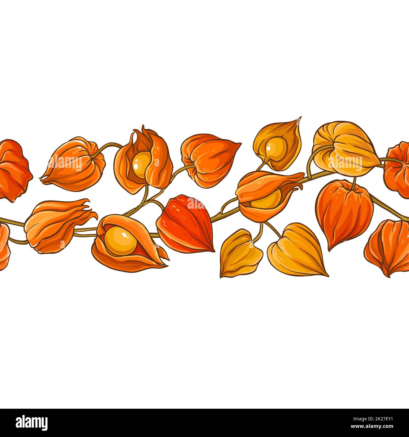 phisalis branch vector pattern Stock Photo - Alamy