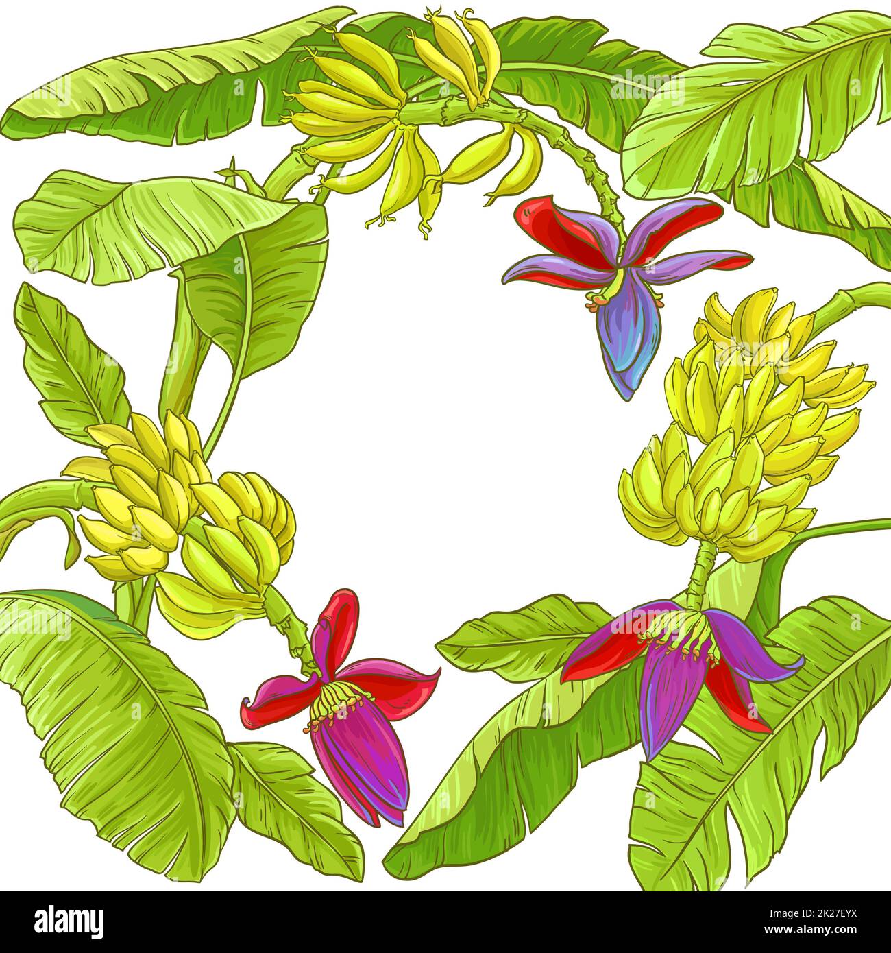 banana vector frame Stock Photo - Alamy