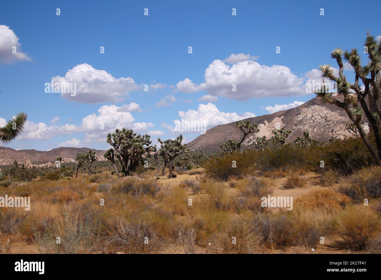 The white clouds in the blue sky over the Joshua Tree National Park ...