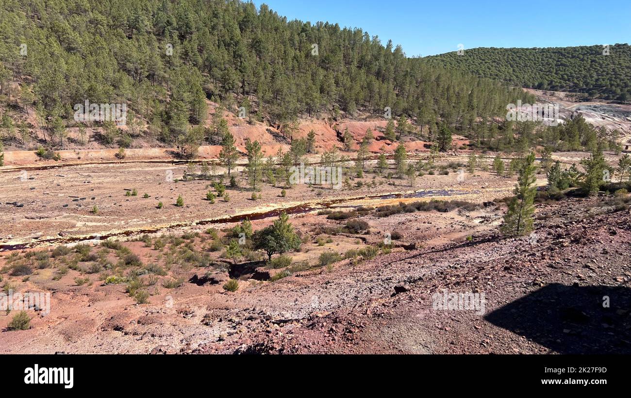 Bosque historico hi-res stock photography and images - Alamy