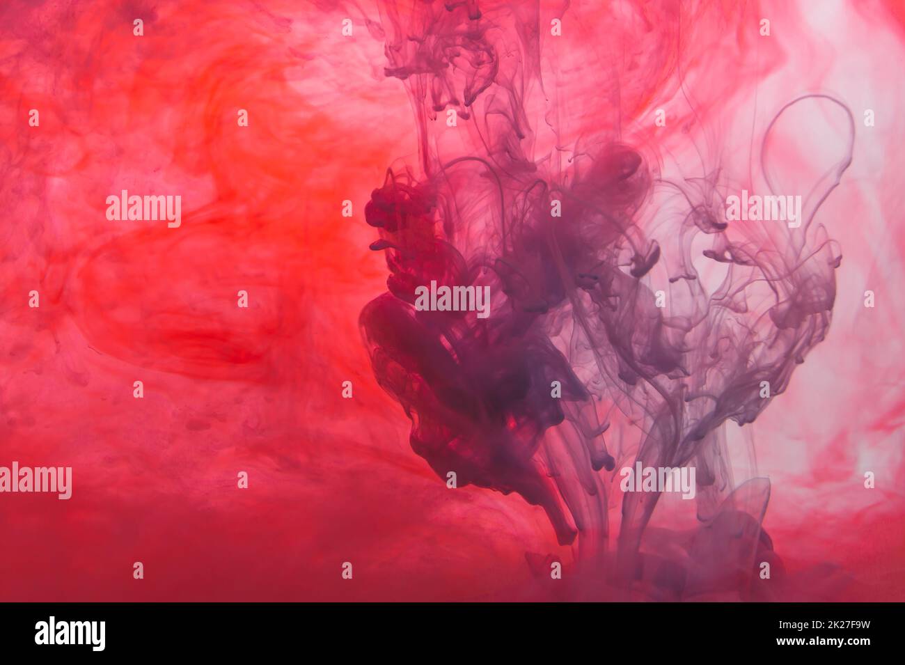 Paint in the water abstract background. ink in fluid. colorful splashes ...