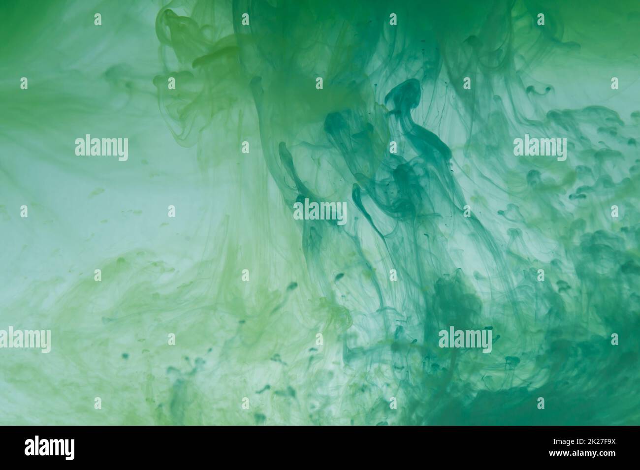 Green paint in the water. colorful splashes in liquid. abstract ...