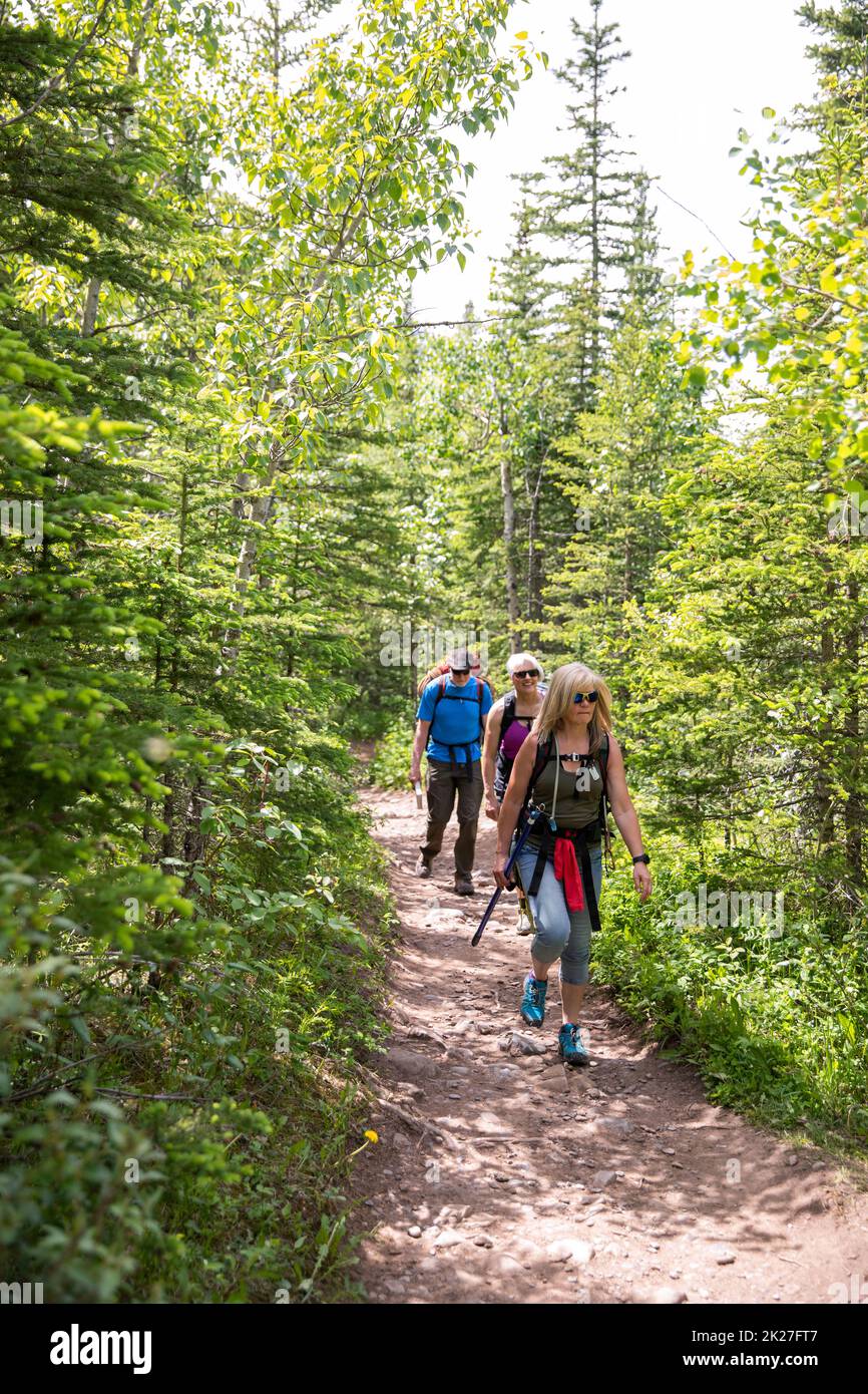 Sunny trail hi-res stock photography and images - Alamy