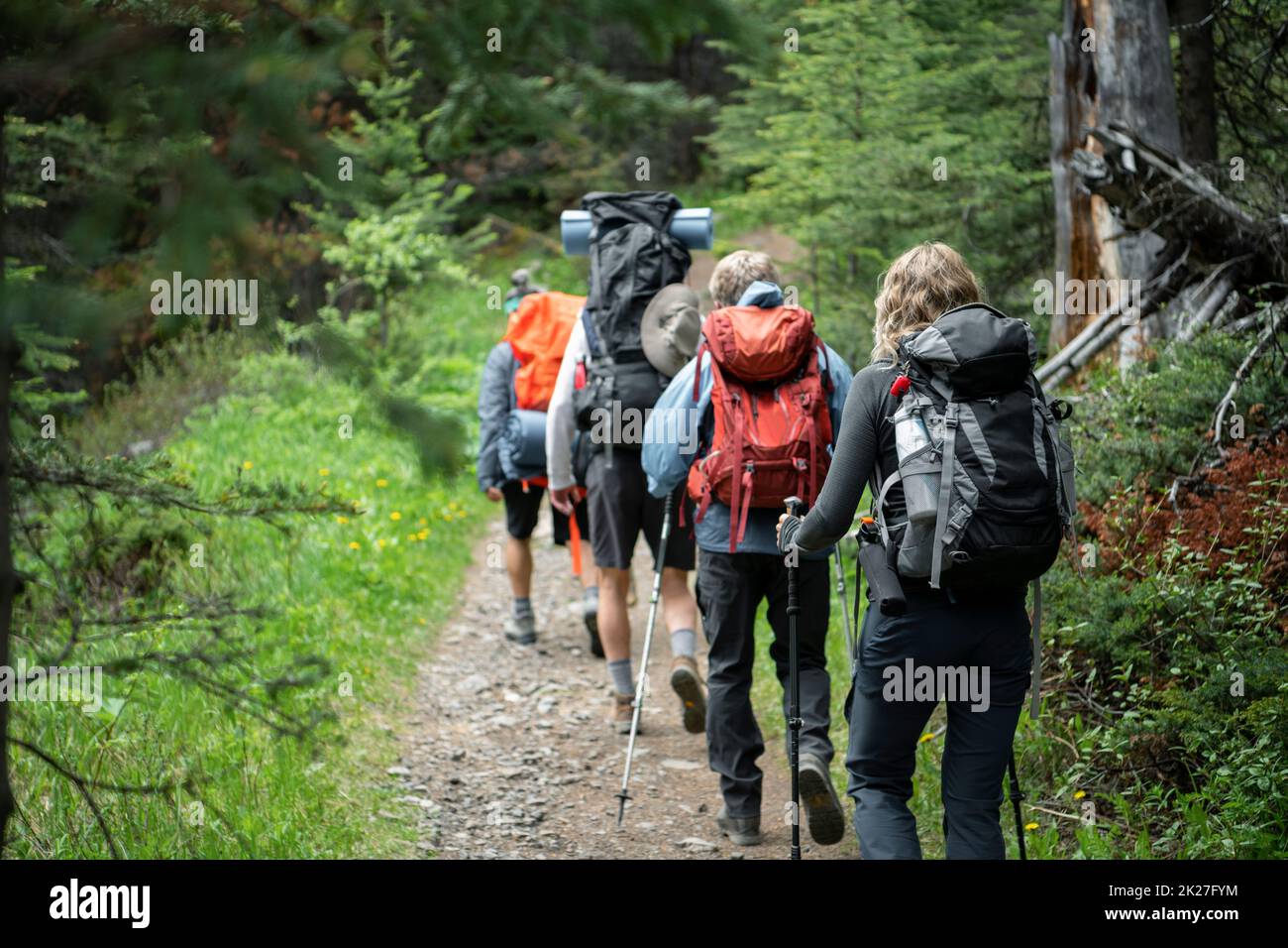 Four trees on a row hi-res stock photography and images - Alamy