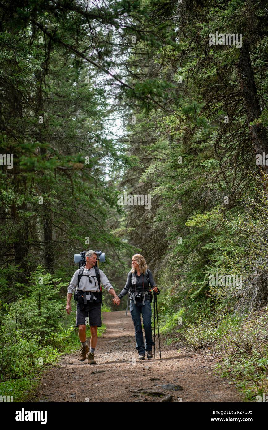Couple holding hands hiking on trail among trees in woods Stock Photo ...