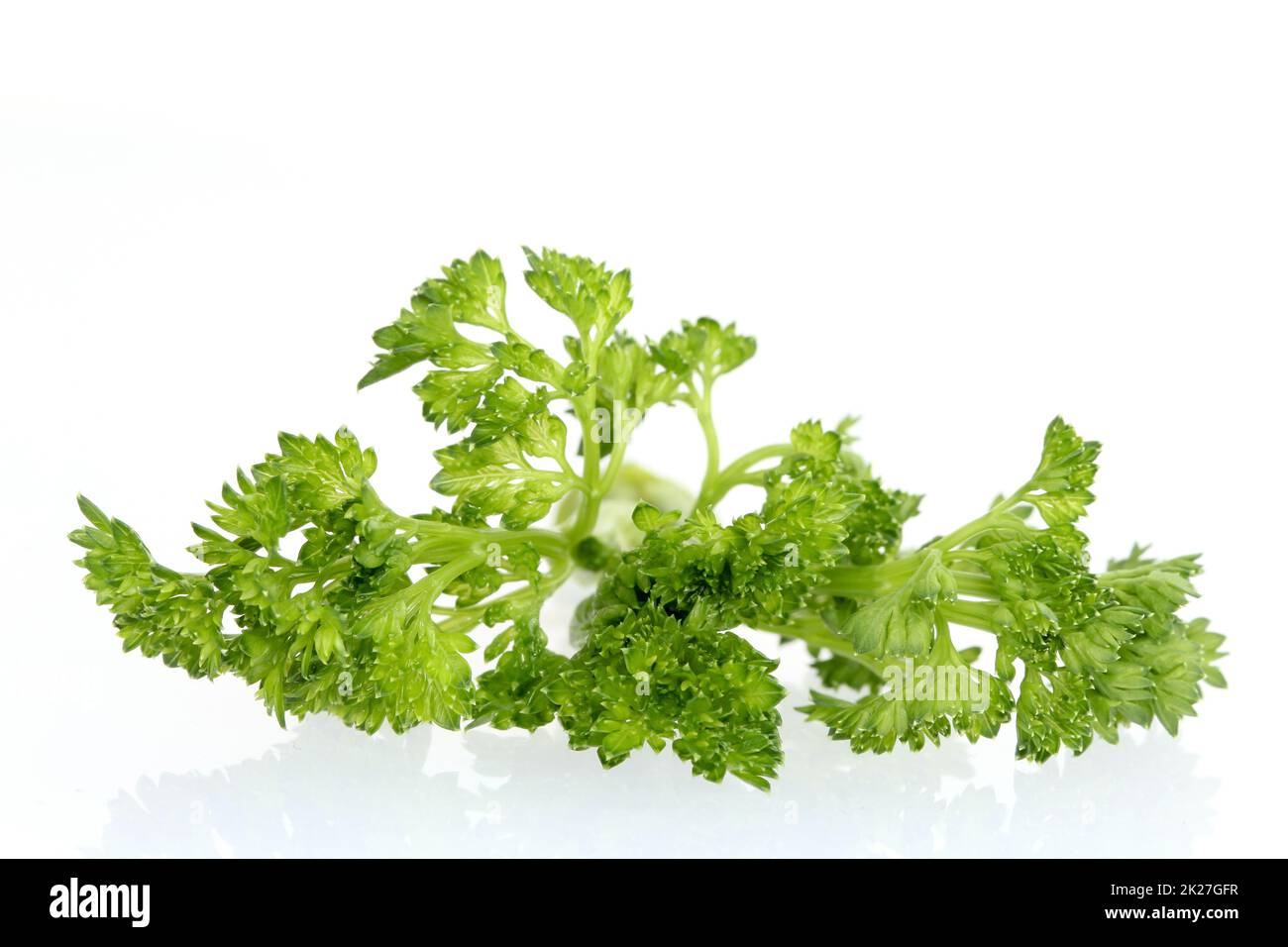 Parsley in macro shoot against white background Stock Photo - Alamy