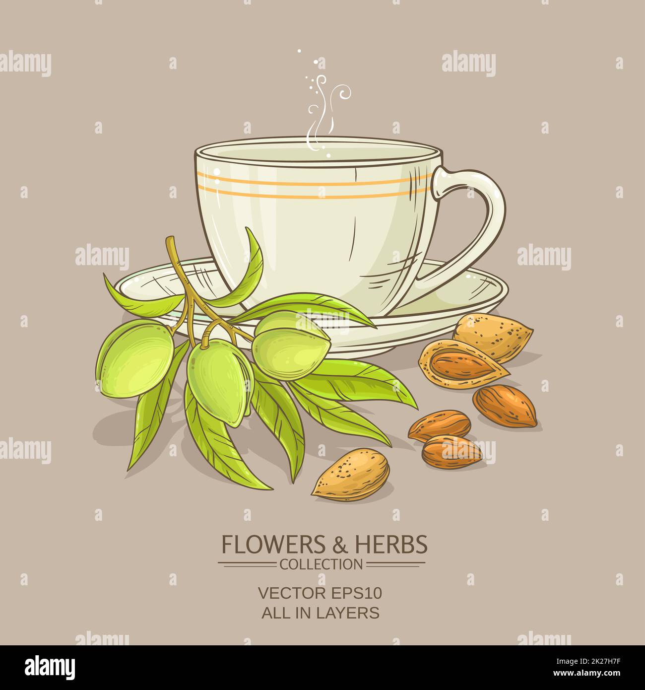 almond tea illustration Stock Photo - Alamy