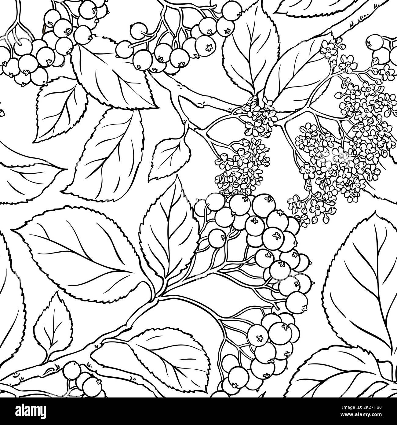 black rowan seamless pattern Stock Photo - Alamy