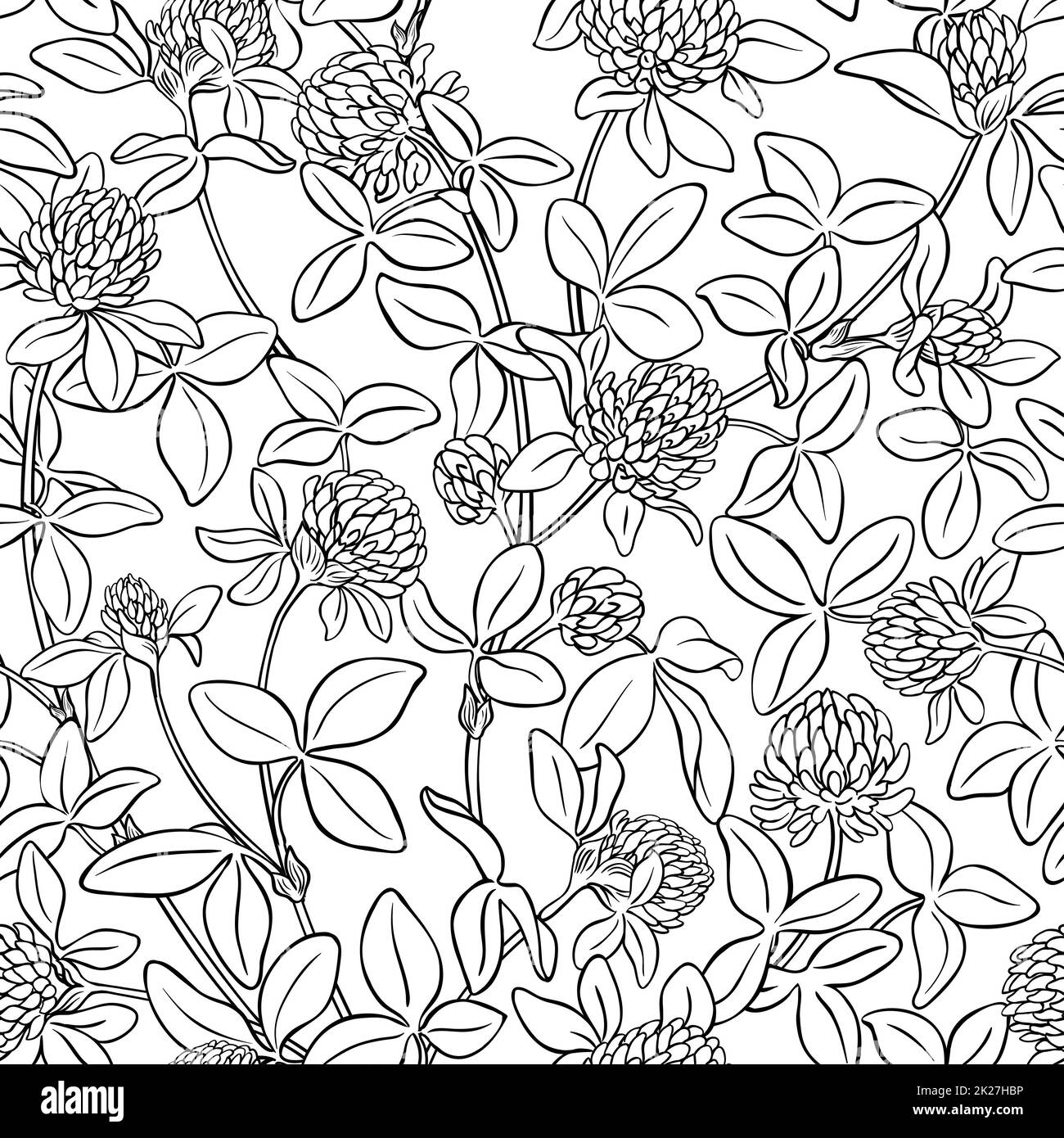 Bouquet of clover Black and White Stock Photos & Images - Alamy