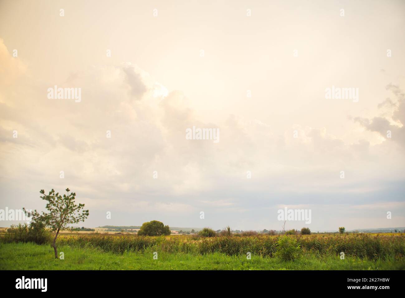 green field and big white clouds, summer sunset Stock Photo - Alamy