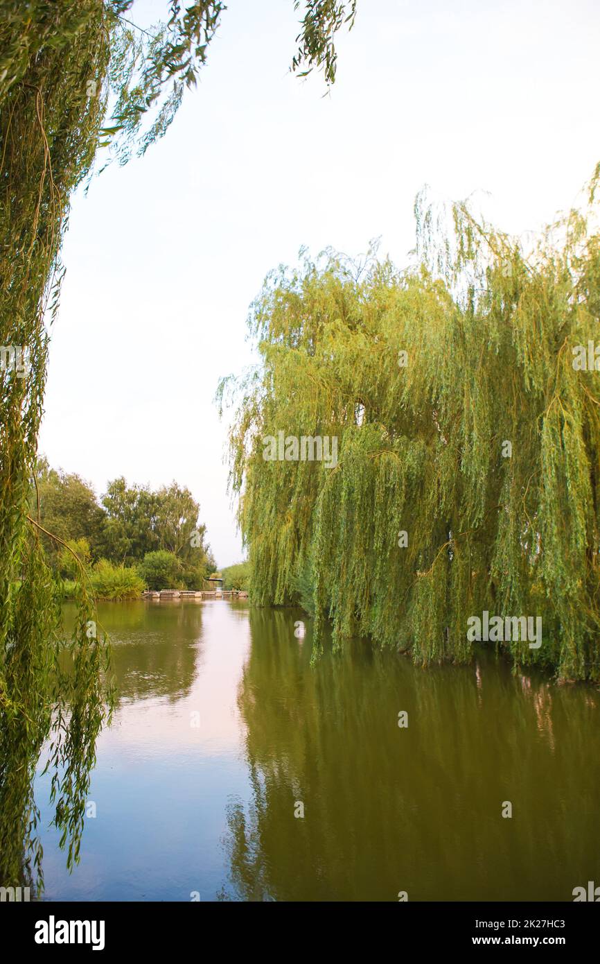 a small fishing lake, rest, summer, fishing, camping, morning Stock ...