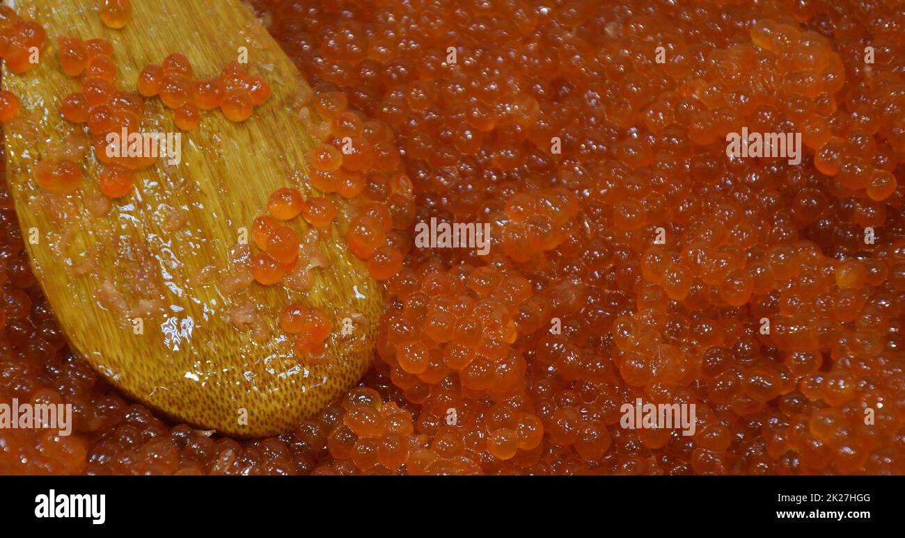 Red caviar of wild chinook salmon (Latin. Oncorhynchus tschawytscha ...