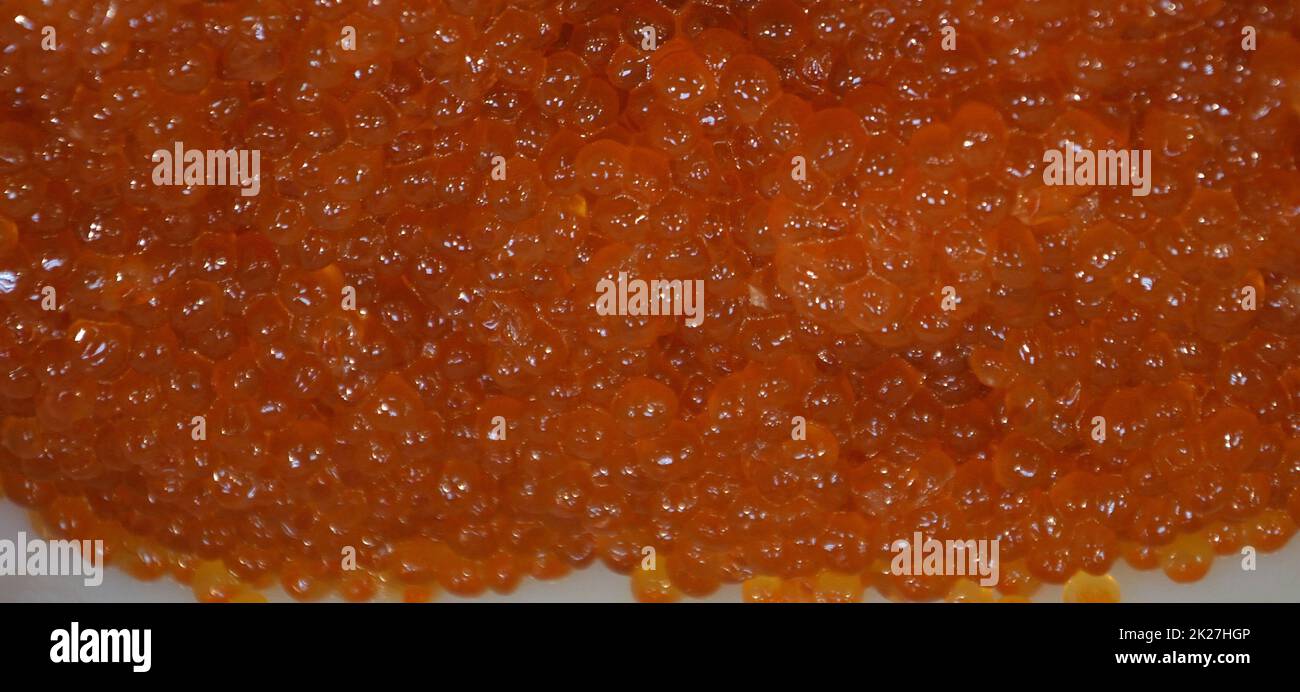 Red caviar of wild chinook salmon (Latin. Oncorhynchus tschawytscha ...