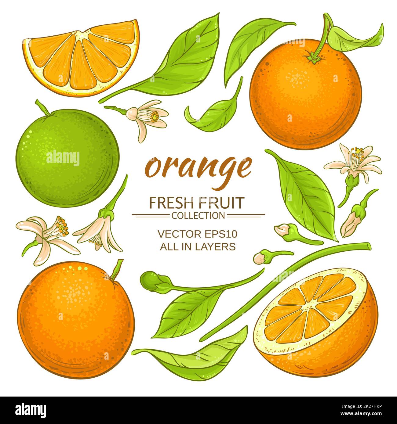 orange elements set Stock Photo - Alamy