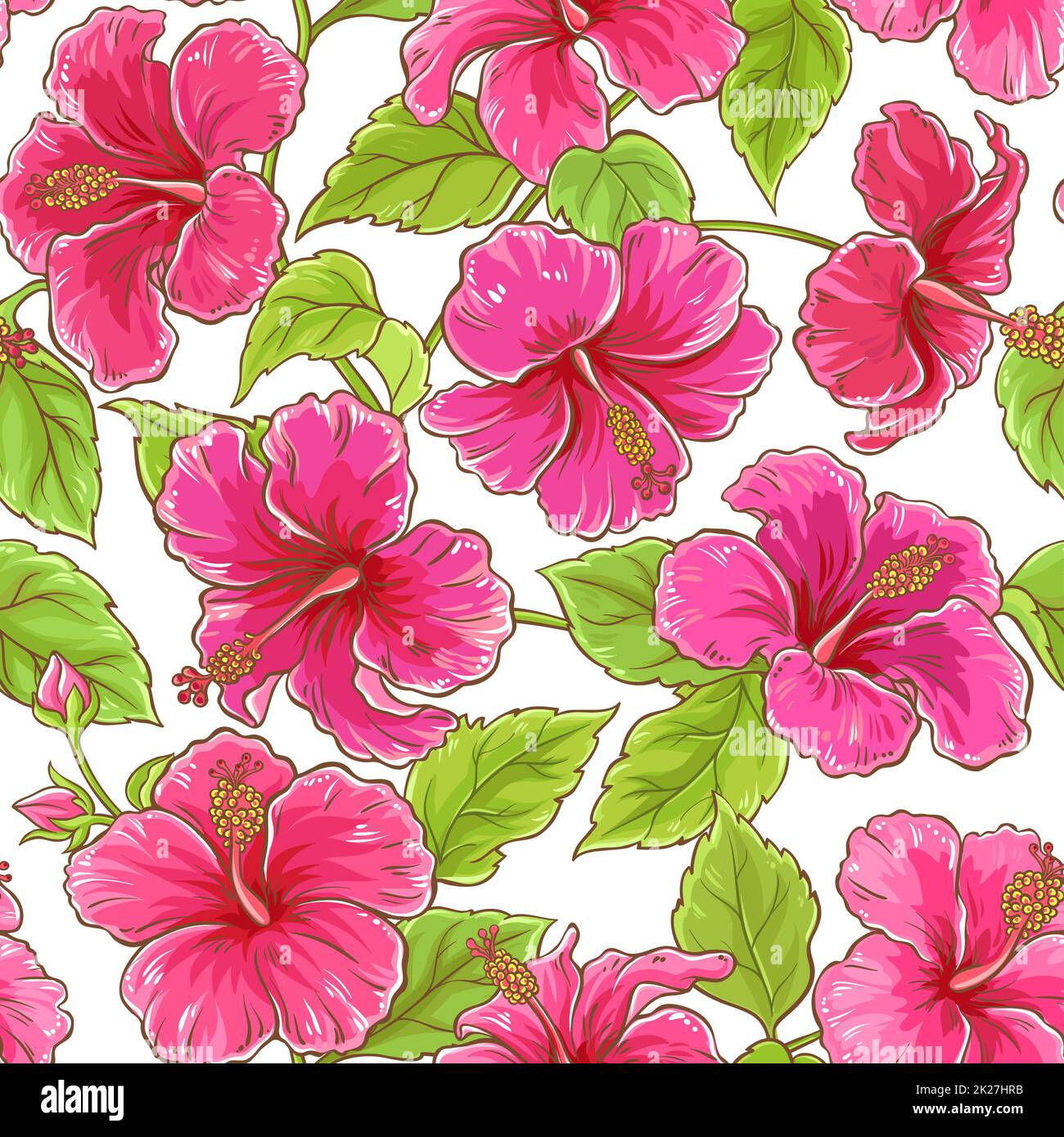 hibiscus flowers seamless pattern on white background Stock Photo - Alamy