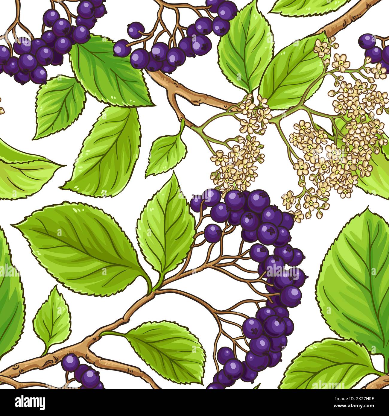 black rowan vector pattern Stock Photo - Alamy