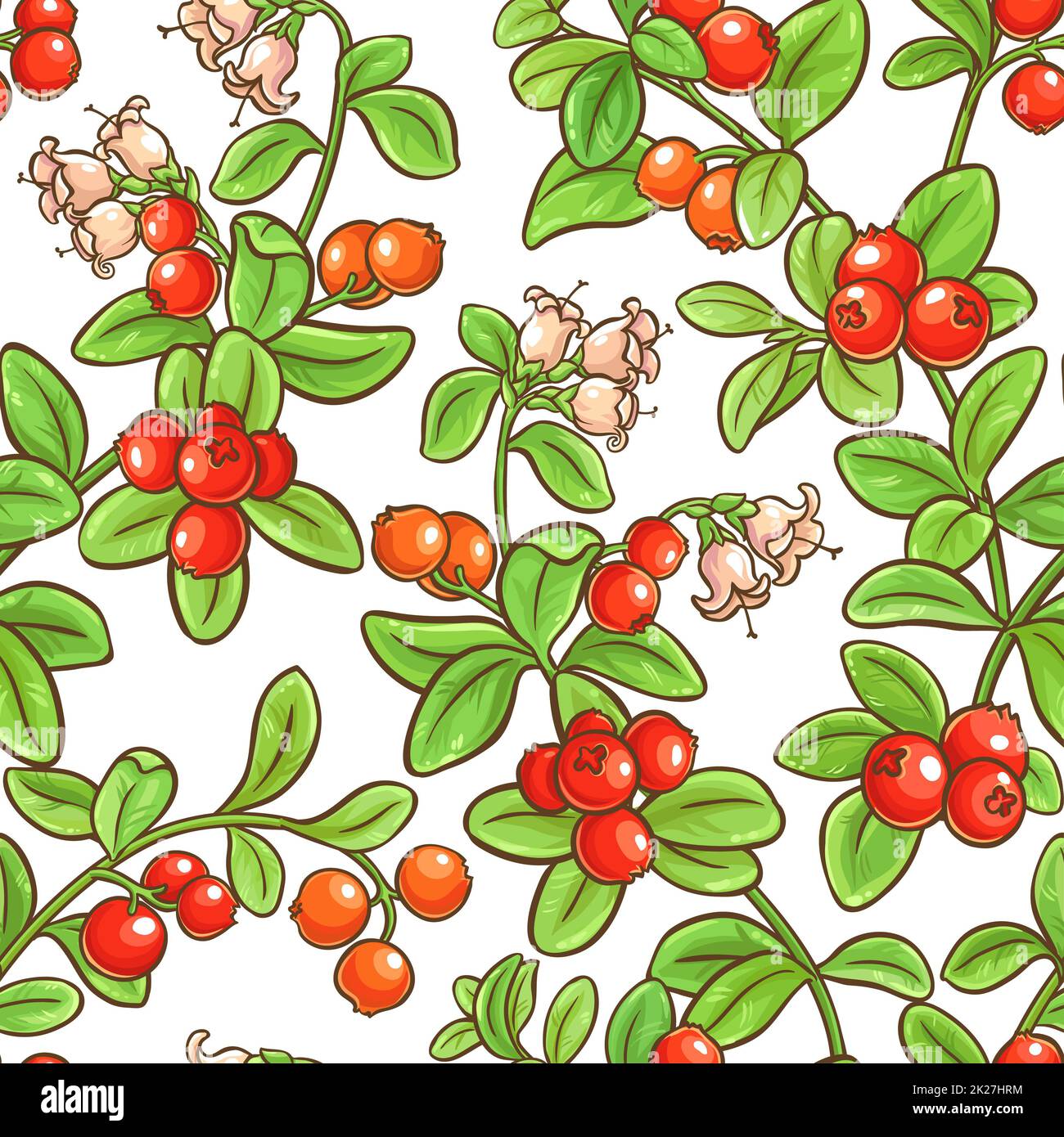 cranberry branch vector pattern Stock Photo - Alamy