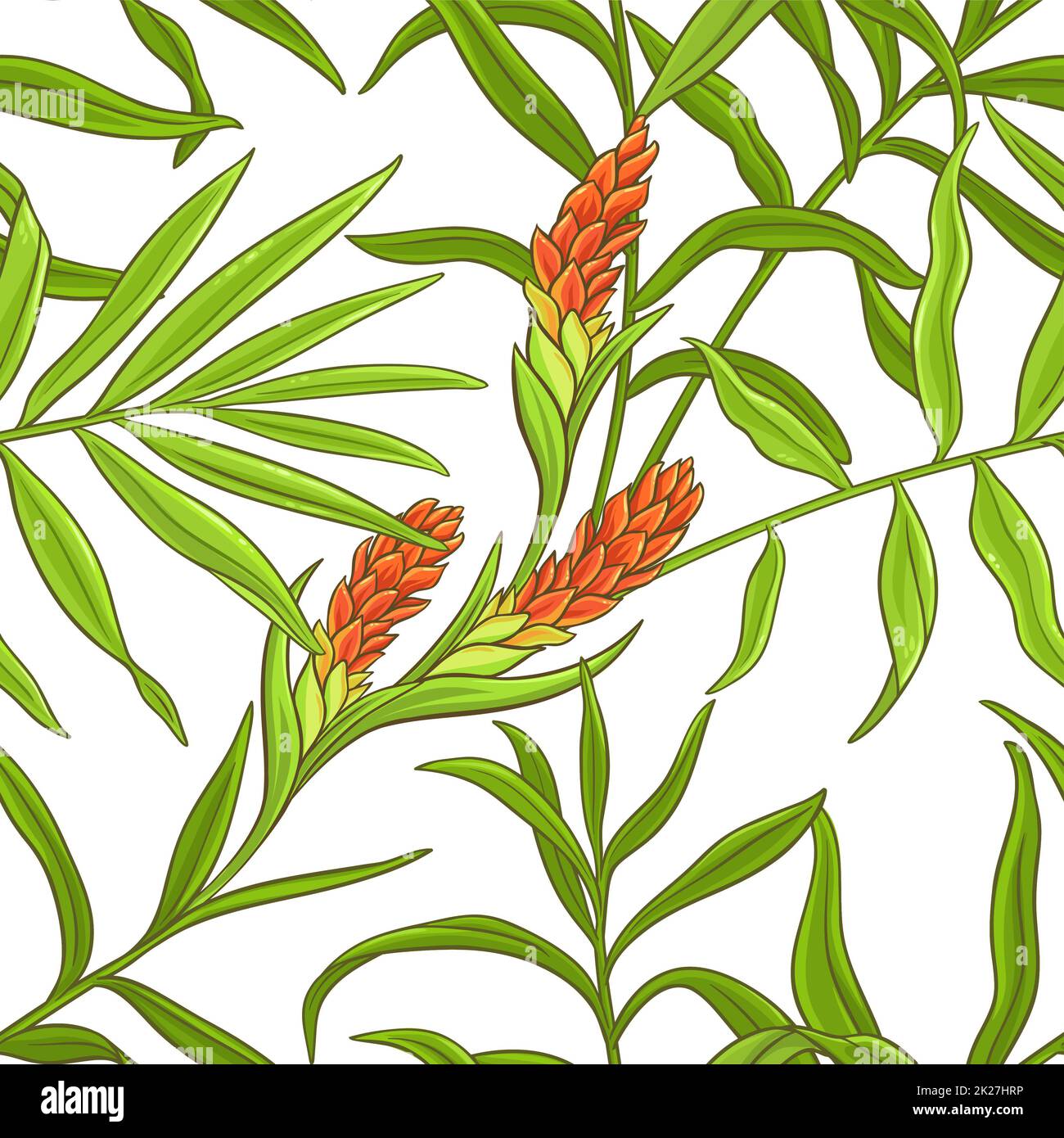 Ginger pattern hi-res stock photography and images - Alamy