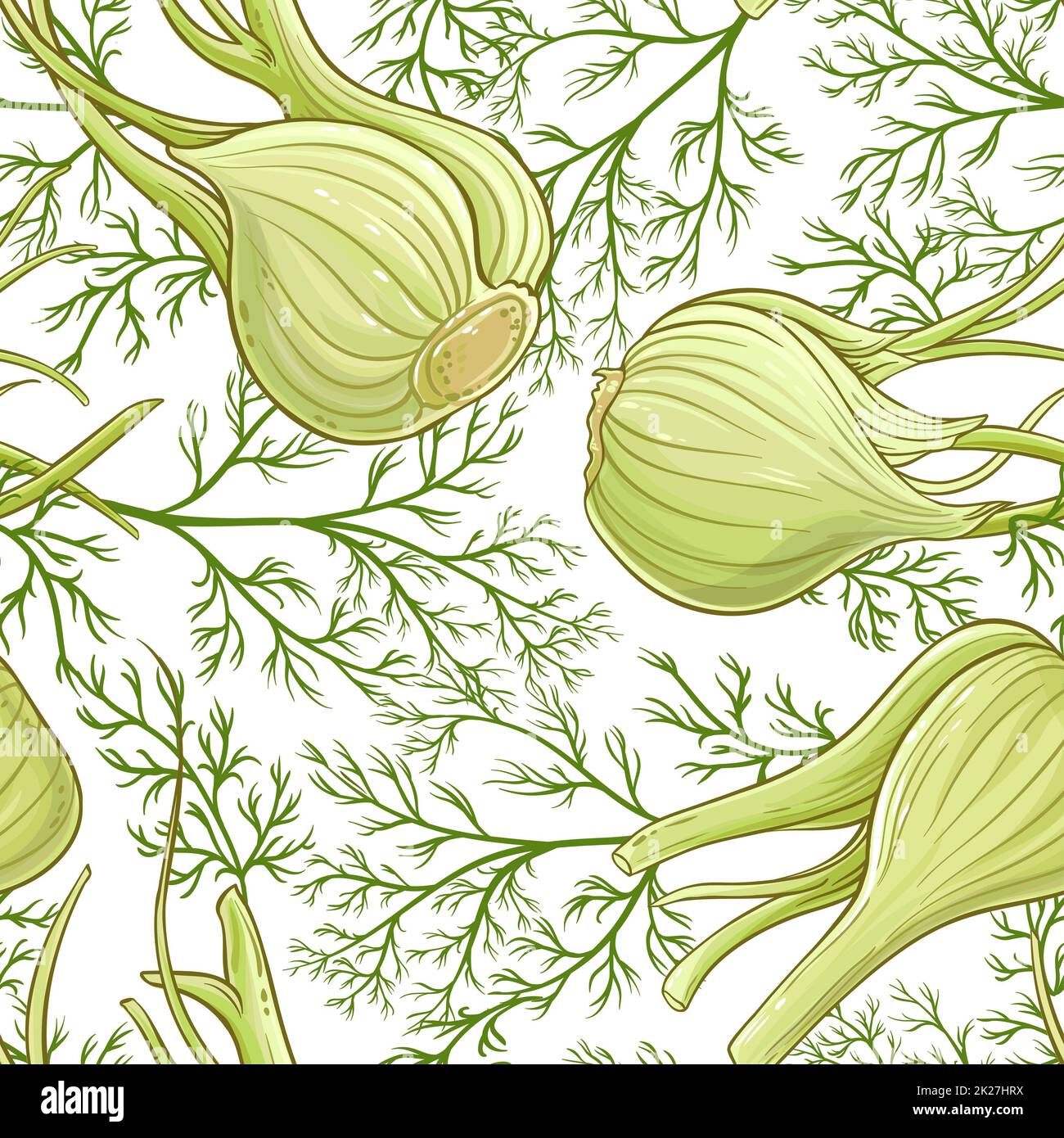 Fennel plant illustration hi-res stock photography and images - Alamy