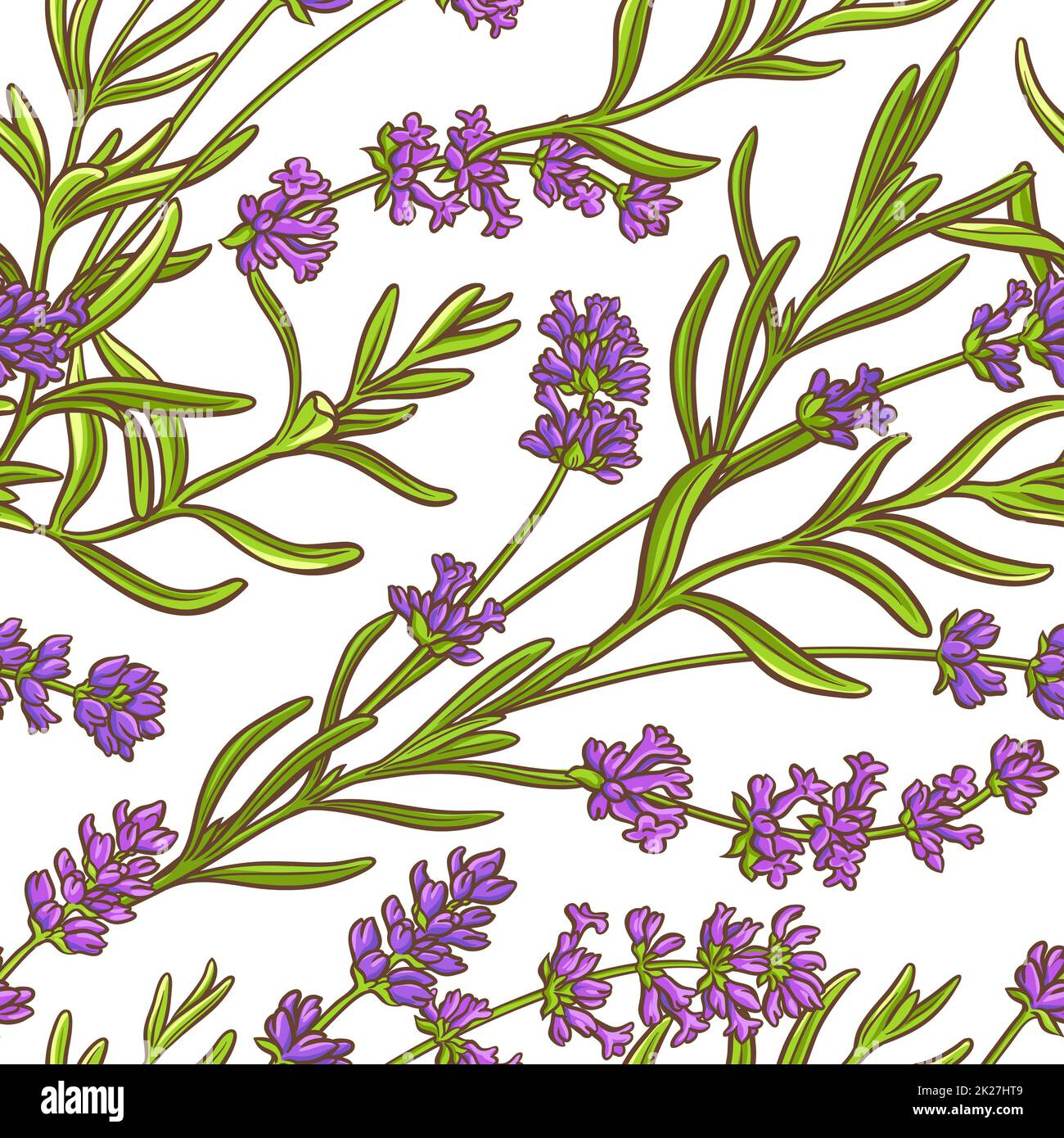 Seamless vector lavender pattern Cut Out Stock Images & Pictures - Alamy
