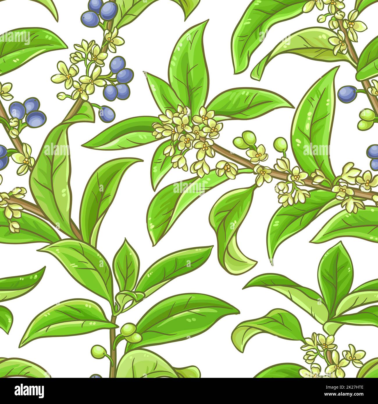 osmanthus vector pattern Stock Photo - Alamy