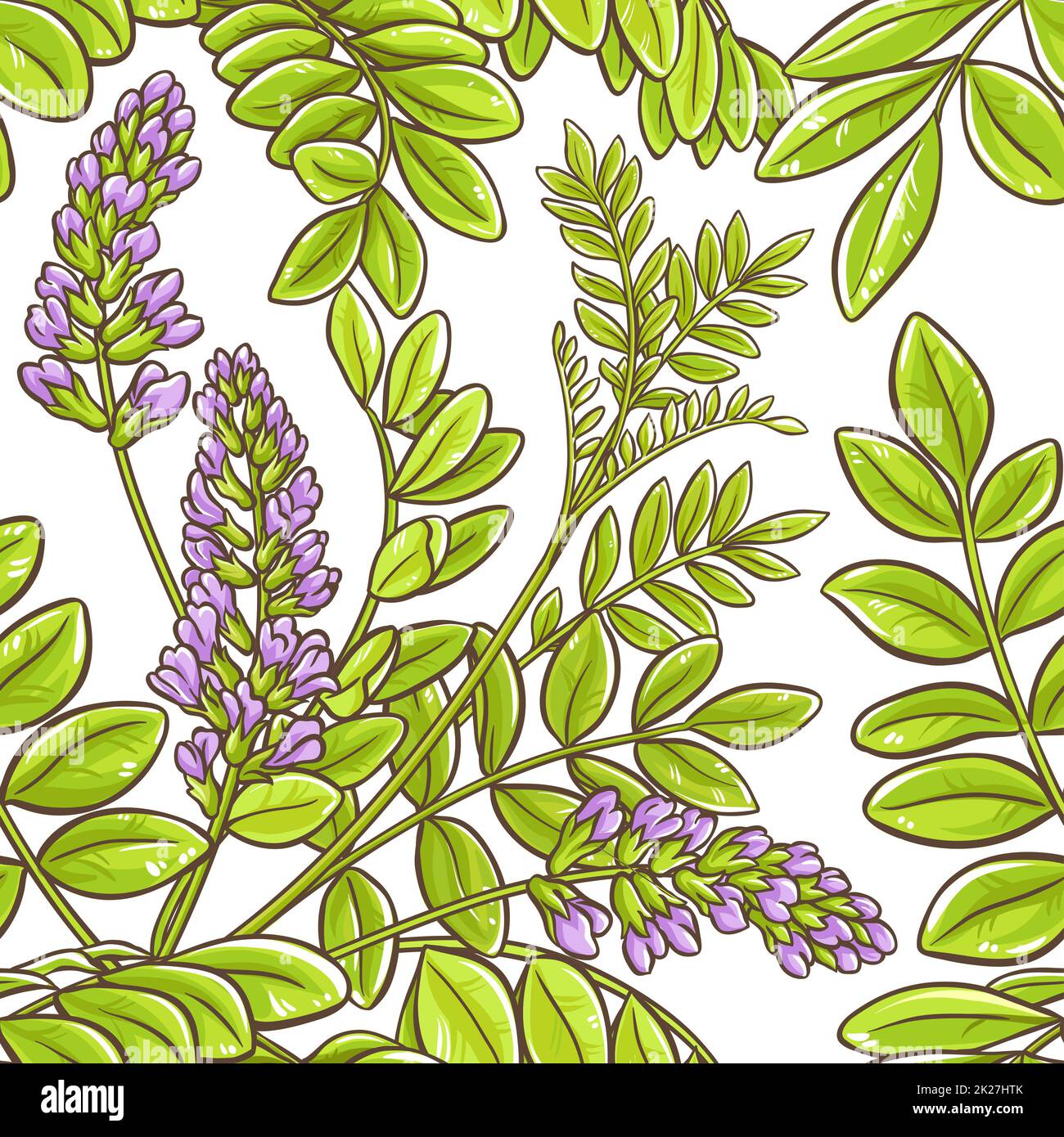 Licorice root tea hi-res stock photography and images - Alamy