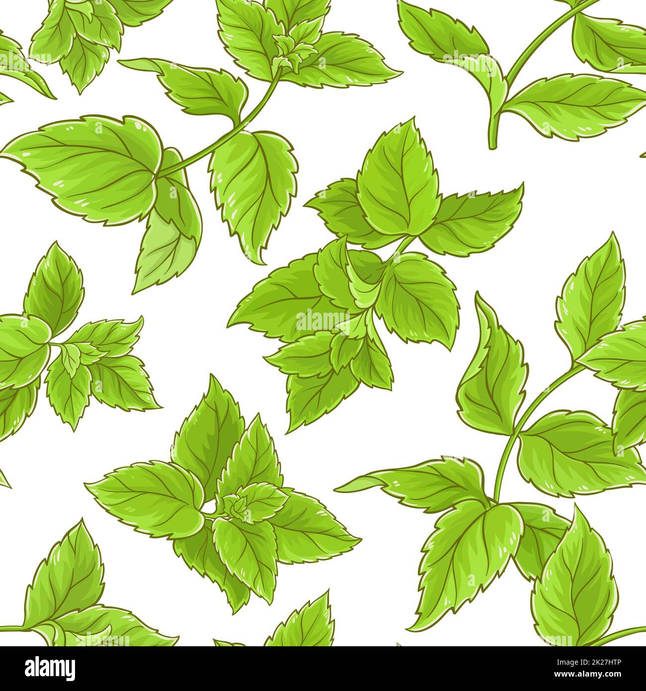 peppermint vector pattern Stock Photo - Alamy