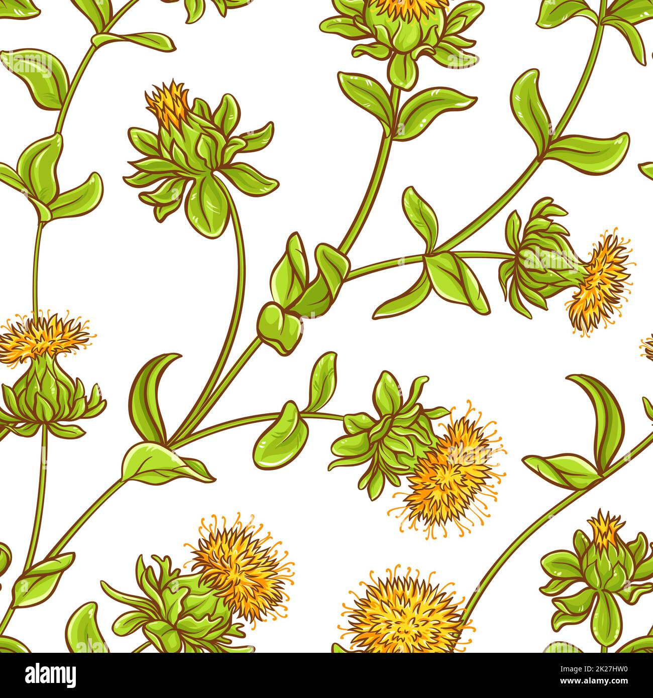 safflower plant vector pattern Stock Photo - Alamy