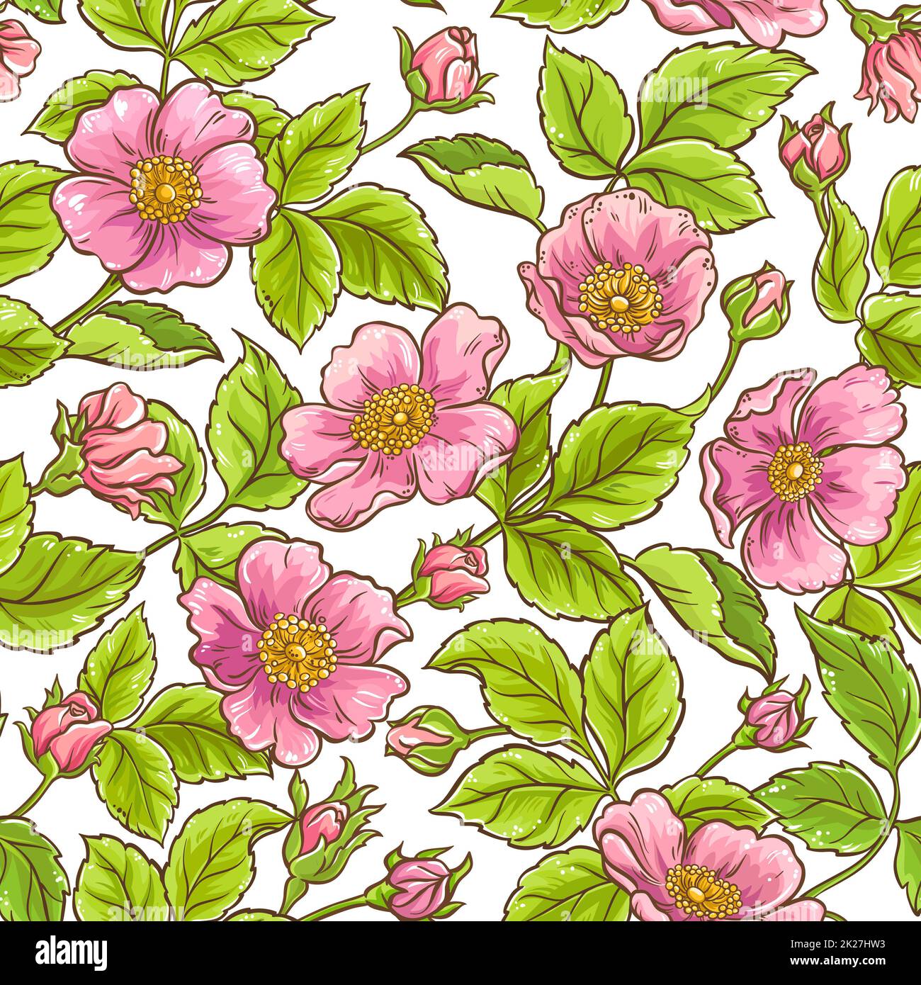 Rose vector pattern hi-res stock photography and images - Alamy