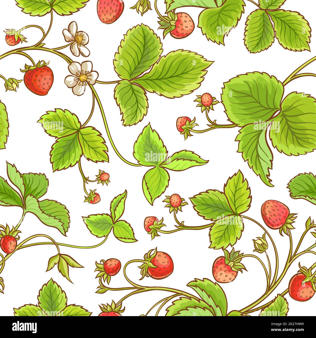 strawberry plant vector pattern Stock Photo - Alamy