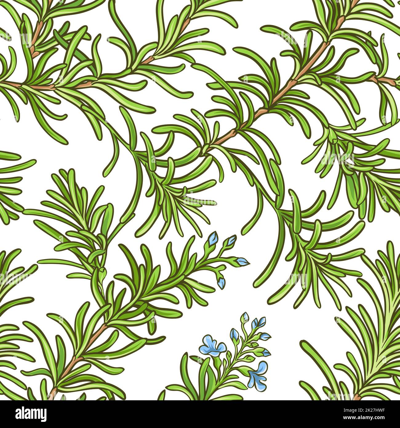 rosemary branch vector pattern Stock Photo - Alamy