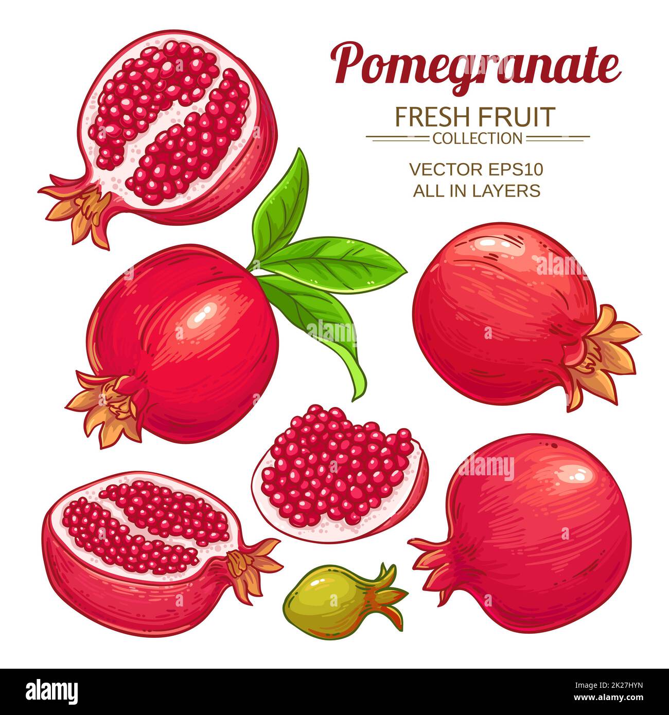 Colorful vector set fruits hi-res stock photography and images - Alamy