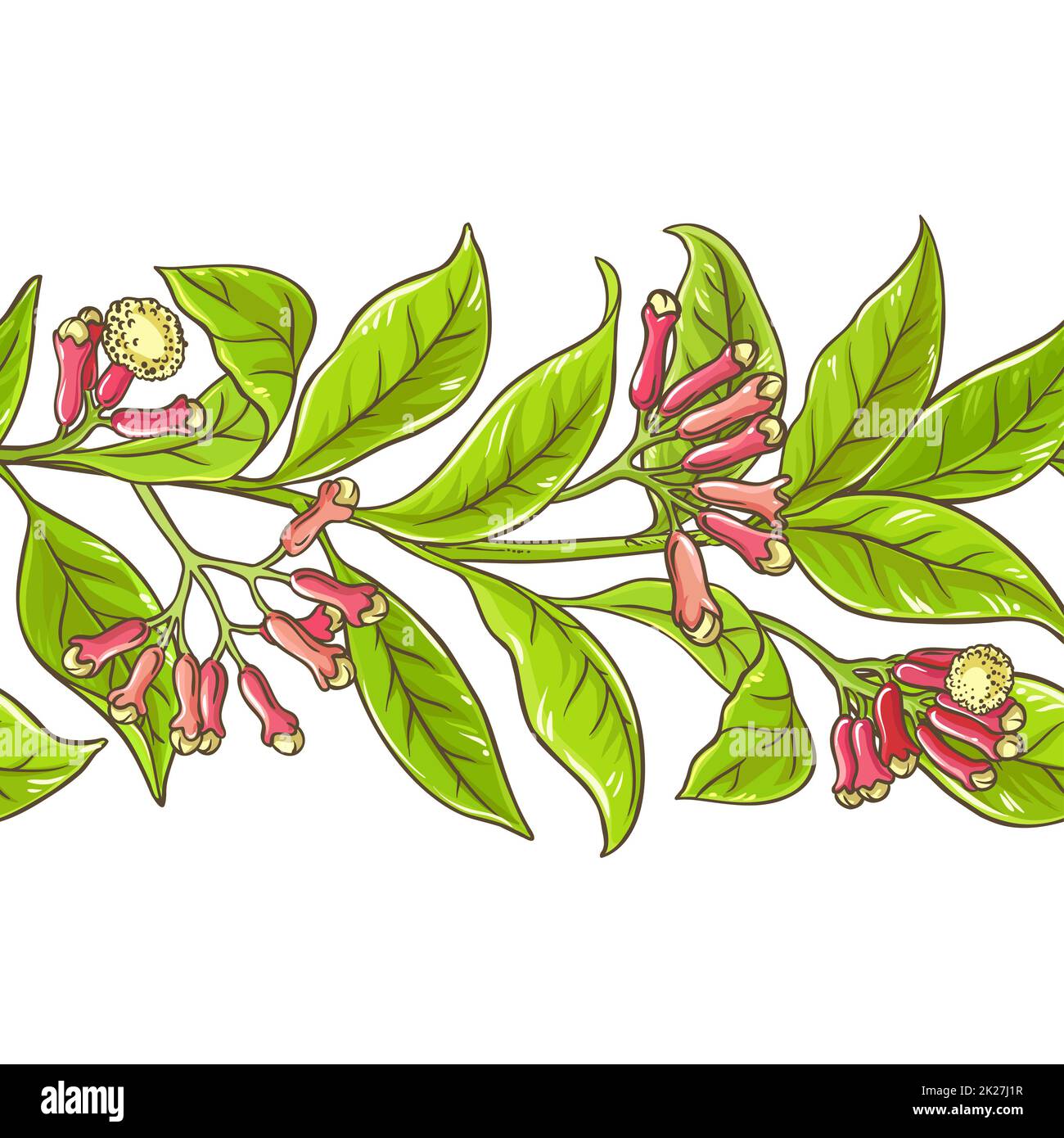 clove branch vector pattern Stock Photo - Alamy