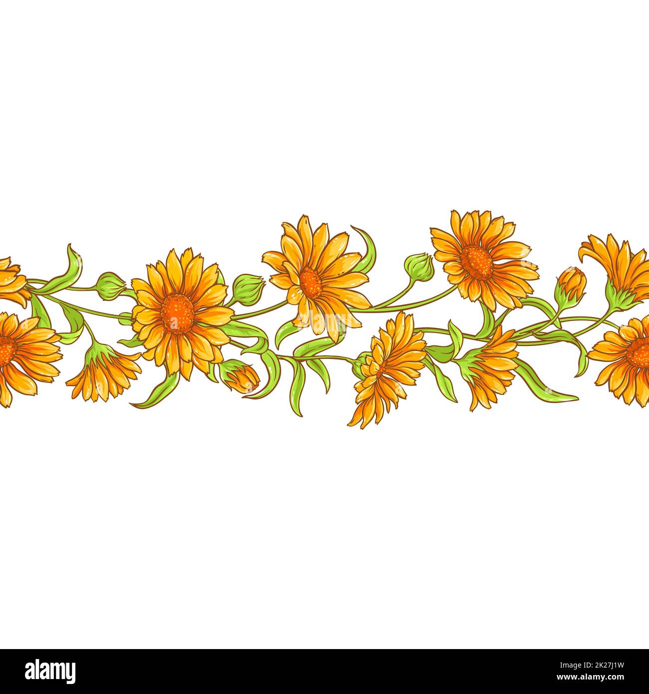 Marigold flower calendula black background hi-res stock photography and ...