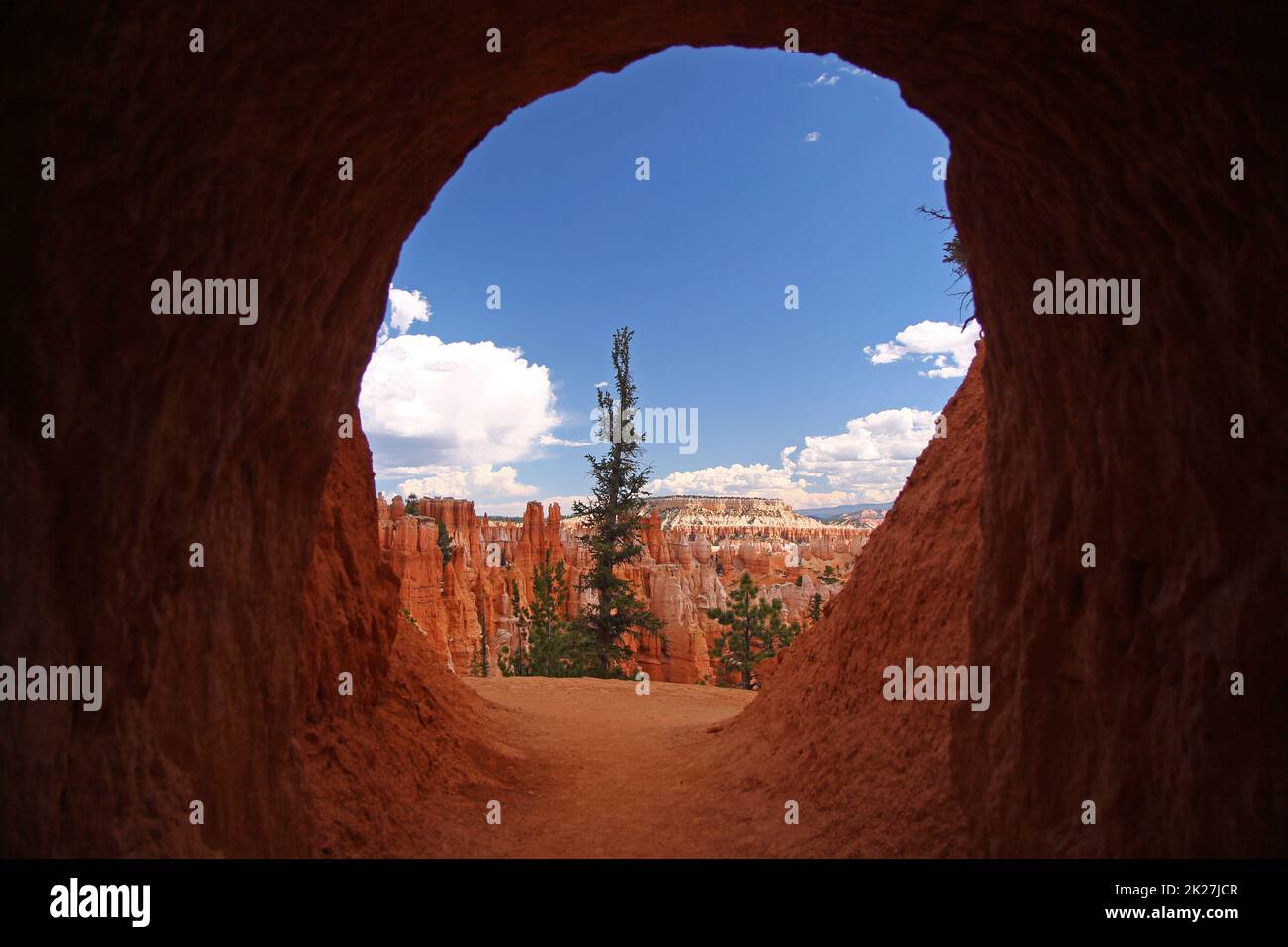 The rounded red rock cave with the pine tree in the Bryce Canyon ...