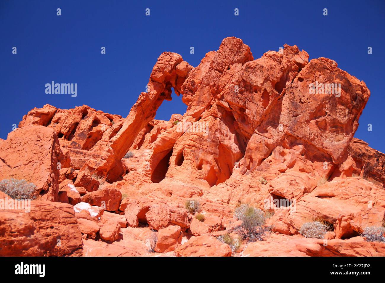 The Elephant shape rock in a full sunny day in the Valley of Fire State ...