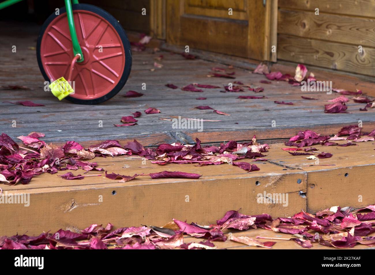 Lost cycle hi-res stock photography and images - Alamy