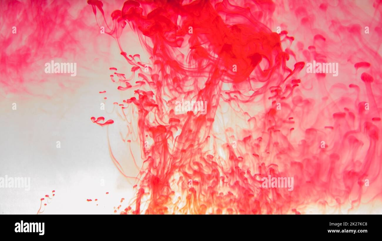 Red ink in the water abstract background. swirls of paint in liquid ...