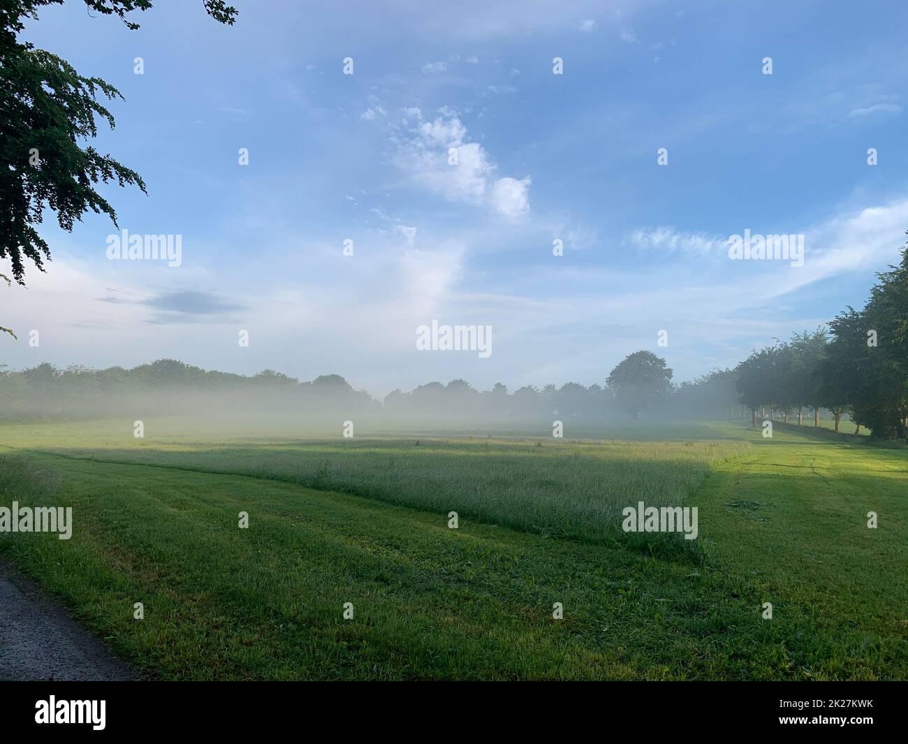 Morning environment hi-res stock photography and images - Alamy