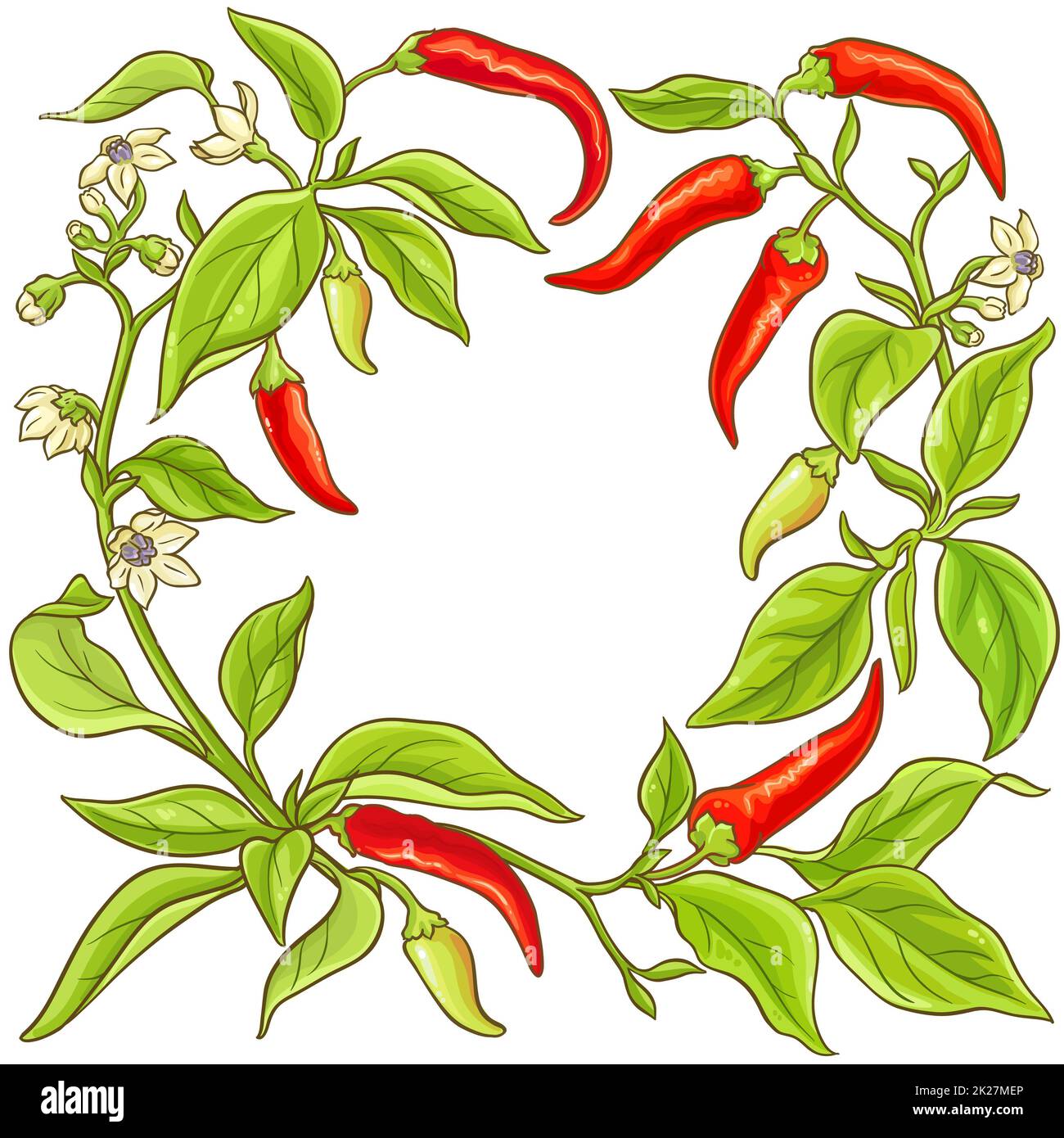 cayenne pepper vector frame Stock Photo - Alamy
